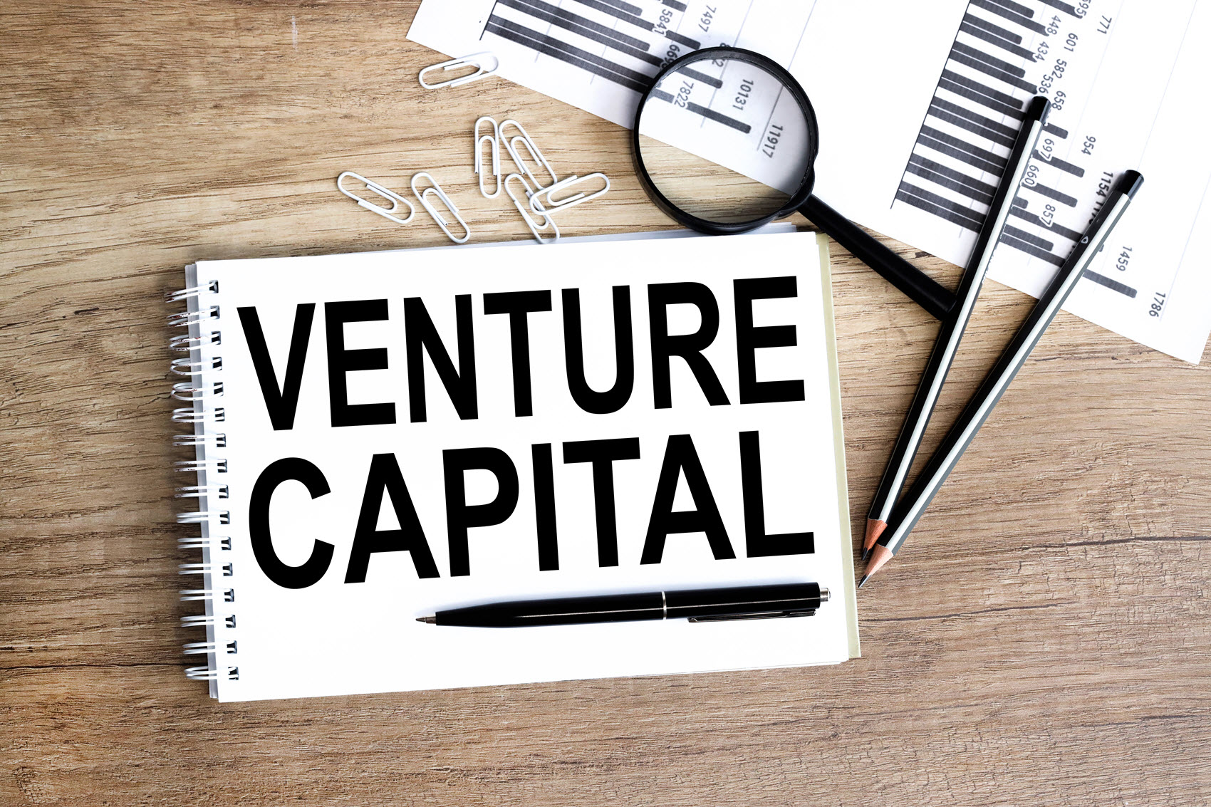 What is Venture Capital? – Investment Fund Project